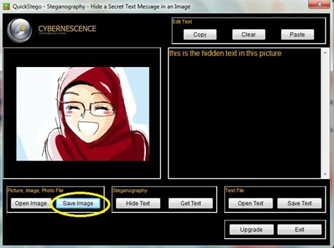 Aisyahs Blog How To Hide Text On The Picture Using Steganography Tools
