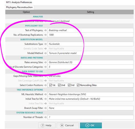 Phylogenetic Tree Construction James White Laboratory