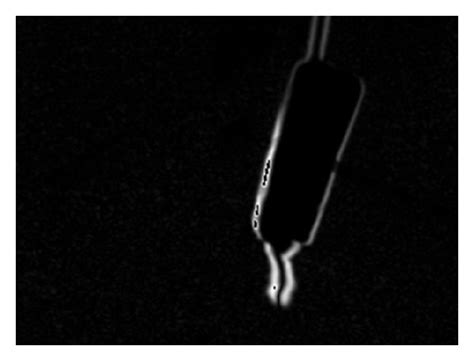 Feature Classification Errors And Elimination Download Scientific