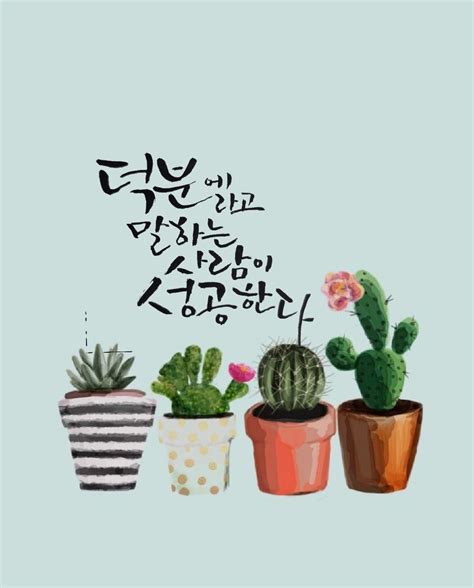따뜻한 문구와 꽃무늬가 담긴 세 개의 선인장