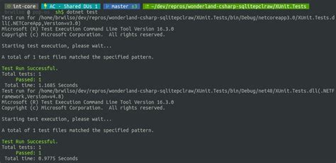 Having A Not Found Issue With Xunit While Using Microsoftdatasqlite 3 And Sqlitepclraw 2 On