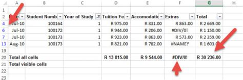 Summing Visible Cells Only Auditexcel Co Za Advanced Excel