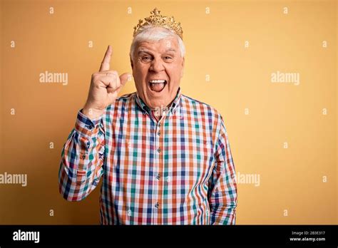 Senior Handsome Hoary Man Wearing Golden Crown Of King Over Isolated