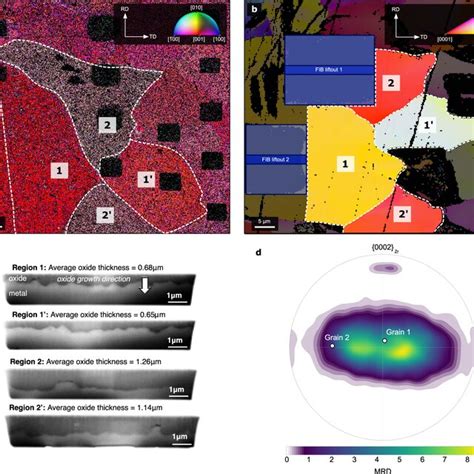 Electron Backscatter Diffraction Contoured Pole Figures Contoured Pole Electron Backscatter Diffraction Contoured Pole Figures Contoured Pole