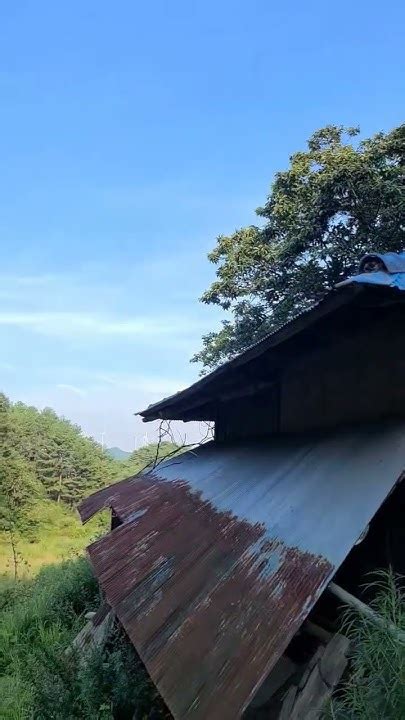 오지산골 화전민 할머니 떠나고 홀로 남은 빈집 산너머의 풍차가 아련하네요 Youtube