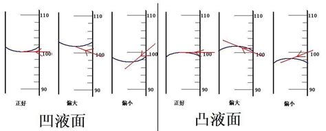 凹液面最低处的图片 图库 五毛网