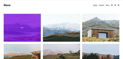 how to show gallery titles as an overlay on hover in squarespace — primitus consultancy