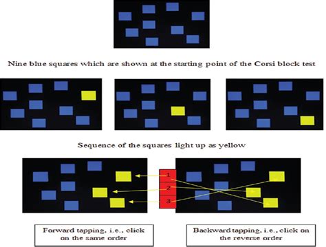 Performance In A Corsi Block Tapping Task Following High Fre