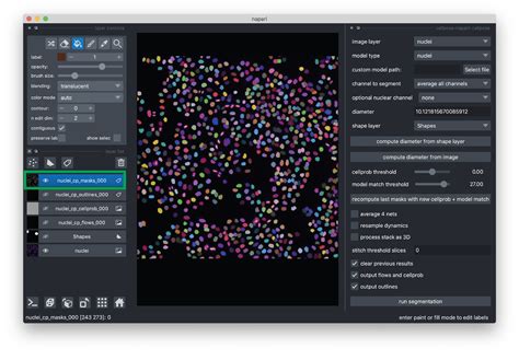 notebook segmenting nuclei with the cellpose napari plugin — napari