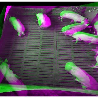 Image Pairs At Various Stages Of Pre Processing Download Scientific Diagram