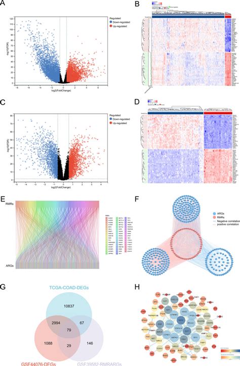 Identification Of A Novel Signature Based On Rna Methylation Associated Anoikis Related Genes