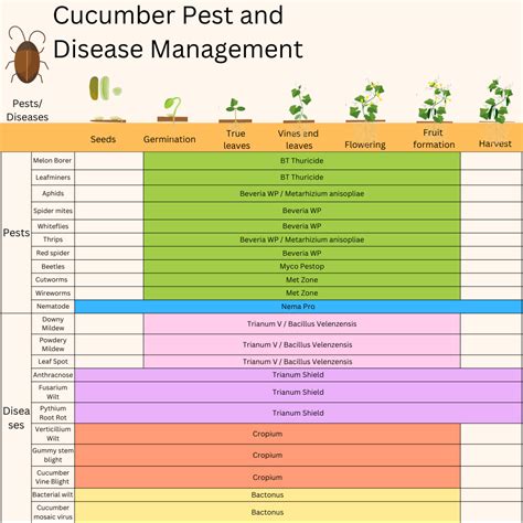 Organic Cucumber Pests And Diseases Control Microbial Solutions