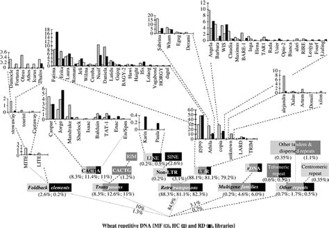 Comparison Of Sequence Fractions Of Repeat Element Families In The Comparison Of Sequence Fractions Of Repeat Element Families In The