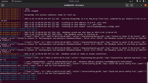 error during installing nakama typescript server runtime heroic labs
