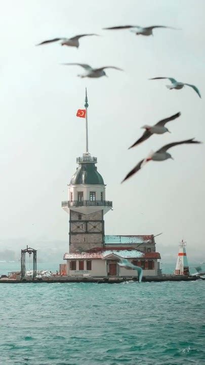 Северные приключения Youtube