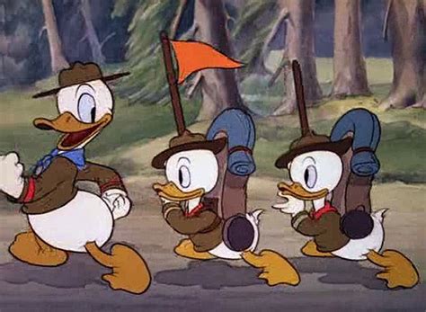 Donald Duck Nephews Good Scouts 1938 Video Dailymotion