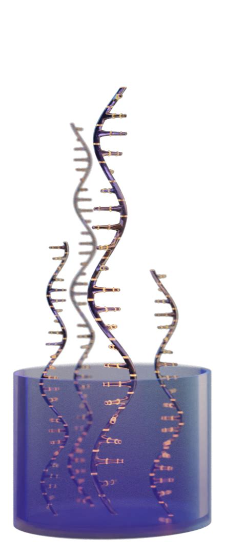 Gxstrands® Single Stranded Dna On Large Scales
