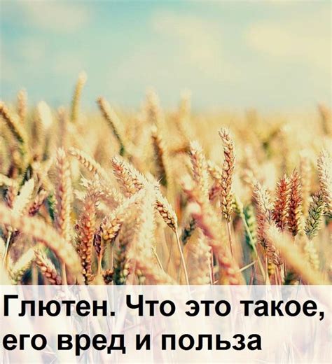 Глютен - что это такое?