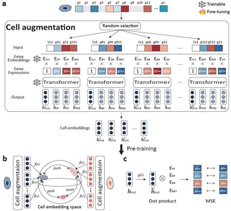 Gist Ai 기술로 단일세포 분석 새로운 패러다임 제시