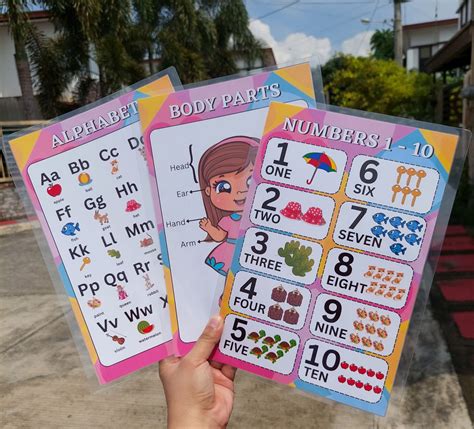 Laminated Educational Chart Lazada Ph