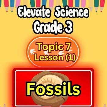 Science Grade Topic Lesson Fossils Worksheets