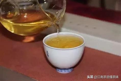 普洱茶的留根悶泡法你了解多少 每日頭條