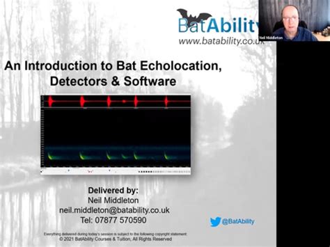 Introduction To Echolocation Bat Detectors And Software