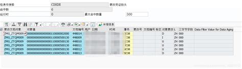 [sap] scdo自建表启用更改记录总结 scdo sap csdn博客