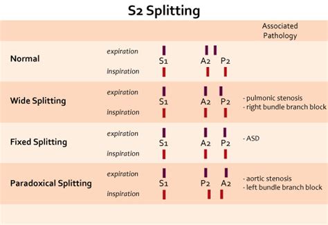 Cardiac Cycle Cardiovascular Medbullets Step