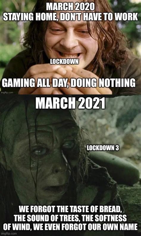 Everybody Can Relate To Smeagol Now Scrolller