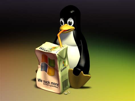 linux penguin wallpapers top free linux penguin backgrounds