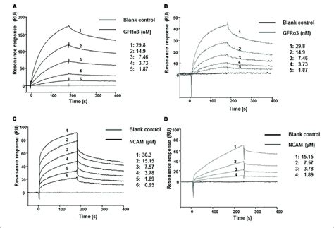 Surface Plasmon Resonance Spr Analysis Of Binding Of Immobilized Download Scientific