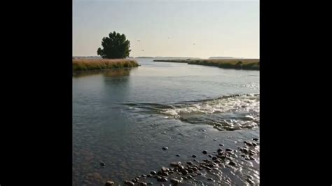 살아가는데 열심히라는 부사는 어울리지 않아 그러니 그냥 살아 그게 인생에 맞는 단어 인지 몰라 Youtube