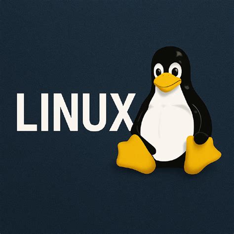 Linux基础（三）：文件系统管理高级