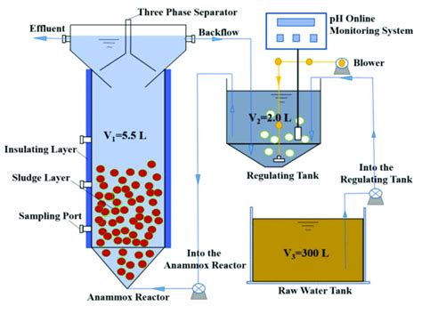 Schematic Diagram Of The Reactor Download Scientific Diagram