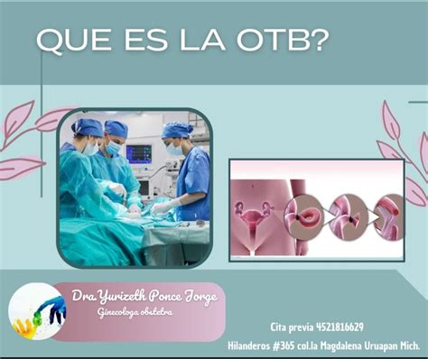 ¿qué Es La Otb La Otb Es El Obstetricia Y Ginecologia