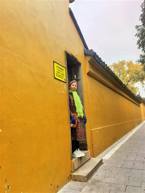 黄黄银杏叶 卯酉河