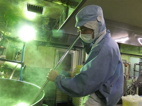 Oshimaen Produtos E Marcas Do Japão Uguis