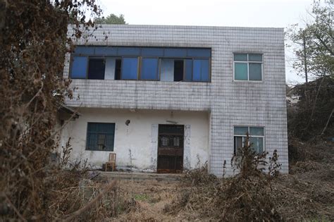 农村这样的房子为何被废弃了？留下来的是杂草丛生如同鬼屋
