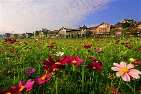 重庆市巴南区人民政府