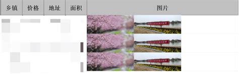easyexcel 最新版（3 3 4）导出多张图片 easyexcel 3 3 导出图片 csdn博客