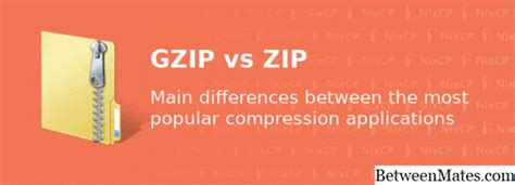 zip和gzip 协议和格式 2025