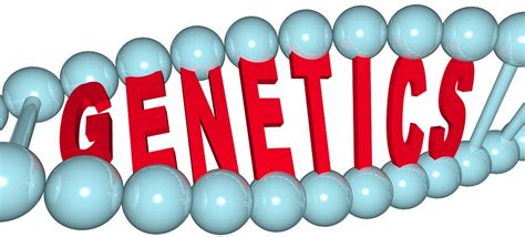 What Is Nutrigenomics Testing Purpose Explained Inspire Us