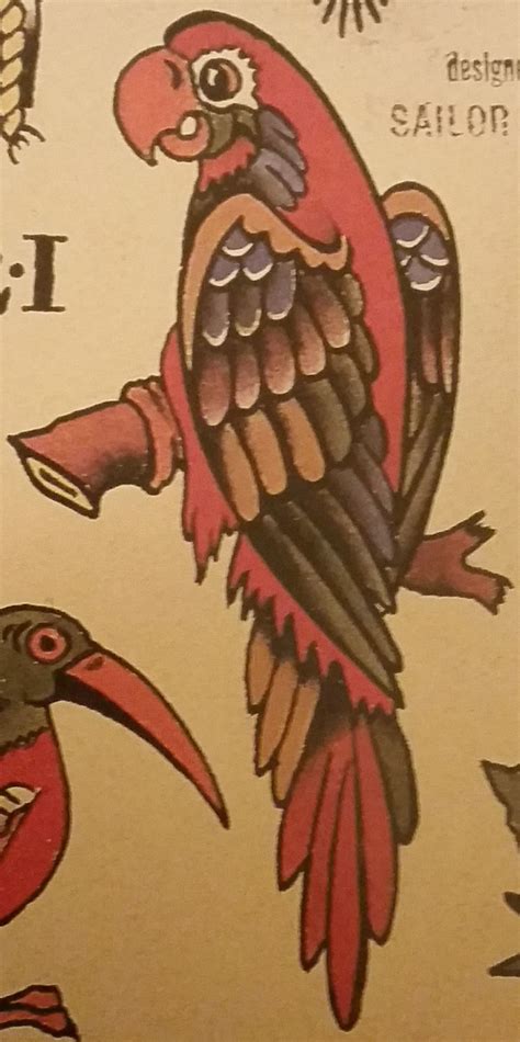 Sailor Jerry Sparrow Drawing