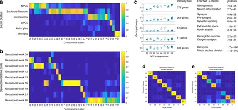 Co Occurrence Clustering Applied To Dropout Pattern In Human Prefrontal