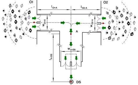 Building Evacuation Principles For The Analysis Of Basic Structures Through Dynamic Flow
