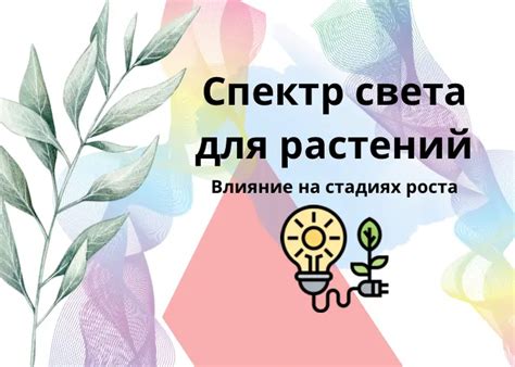 Спектр света для роста растений- циклы цветения и вегетации