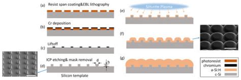 Schematic Of Microlens Fabrication Procedure Inset D Sem Image Of Download Scientific