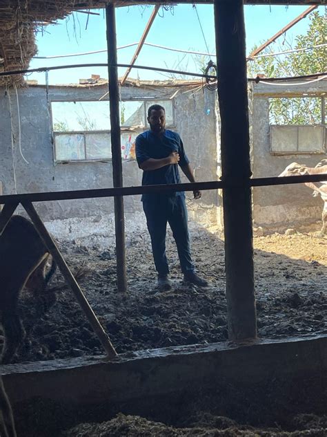 Ahmed Mahfouz On Linkedin Ribcrack