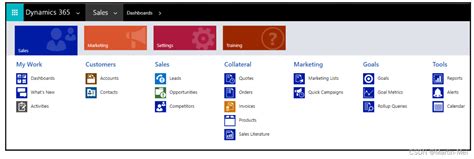 Dynamics 365应用程序开发 1 自定义应用程序导航dynamics365 Guides如何集成到自己开发的程序中 Csdn博客